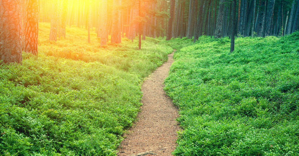 Practice Creates the Path Forward - South Shore Piano School